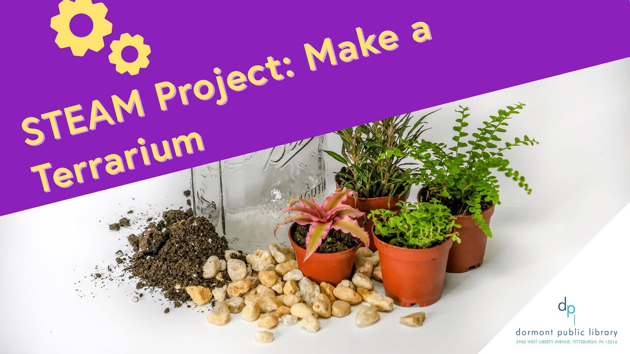 STEAM Project #4: Terrarium