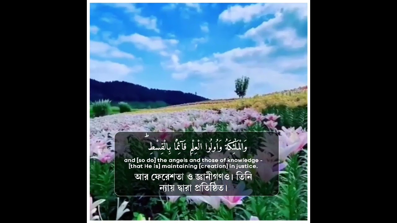 Surah Aal e Imran 3 18 recited by Imran Salim Bahanan