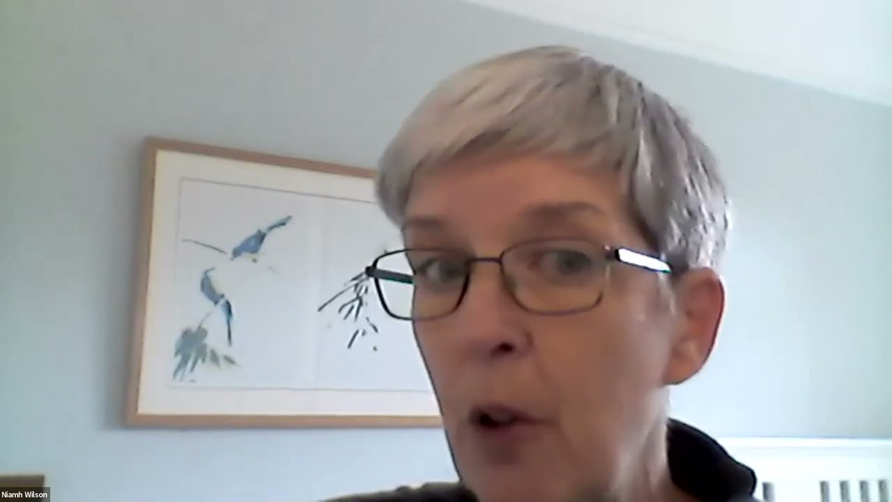 Domestic Abuse Awareness. Niamh Wilson, Women's Aid. Staff Health & Wellbeing Month Webinars DNCC.