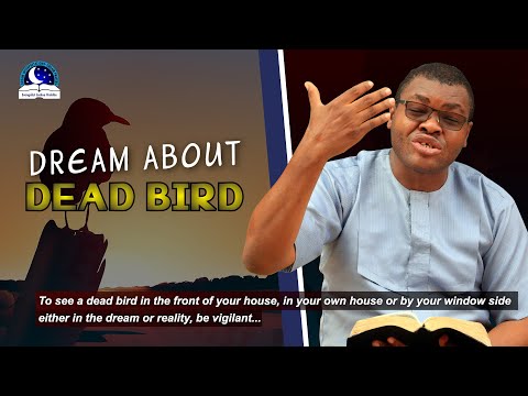 Dream of Seeing a Dead Bird - Meaning from Evangelist Joshua