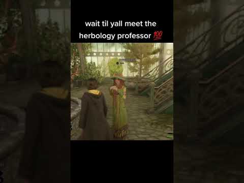 hogwarts legacy mods gonna be lit 🔥