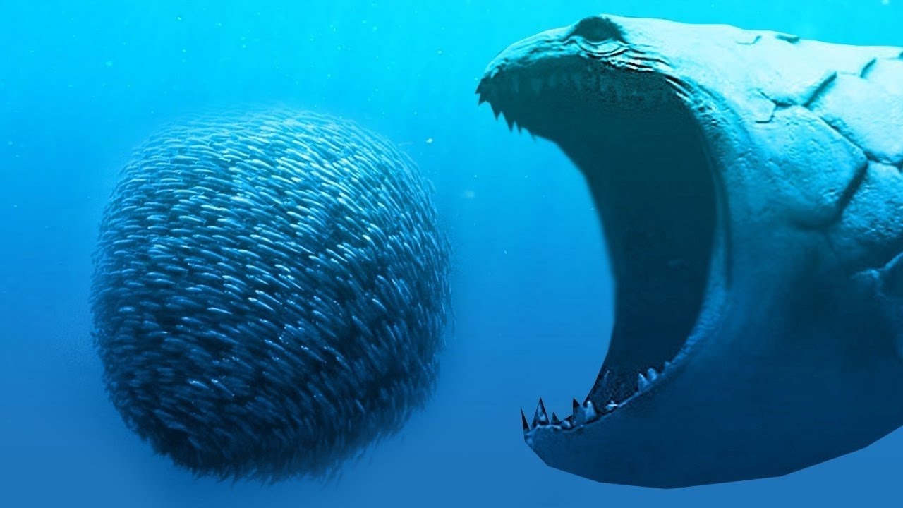 The Bloop — The Largest Underwater Creature in the World