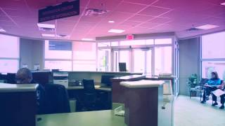 Community Health Connections Mission Statement - Zippia