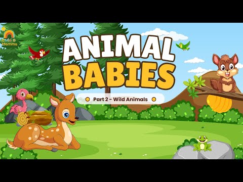 Wild Animal Babies & Their Parents | Fun Learning for Kids