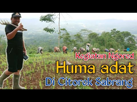 Desa Wisata Citorek Sabrang