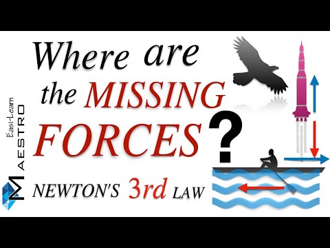 Newton’s Third Law of Motion - Action and Reaction Force Pairs