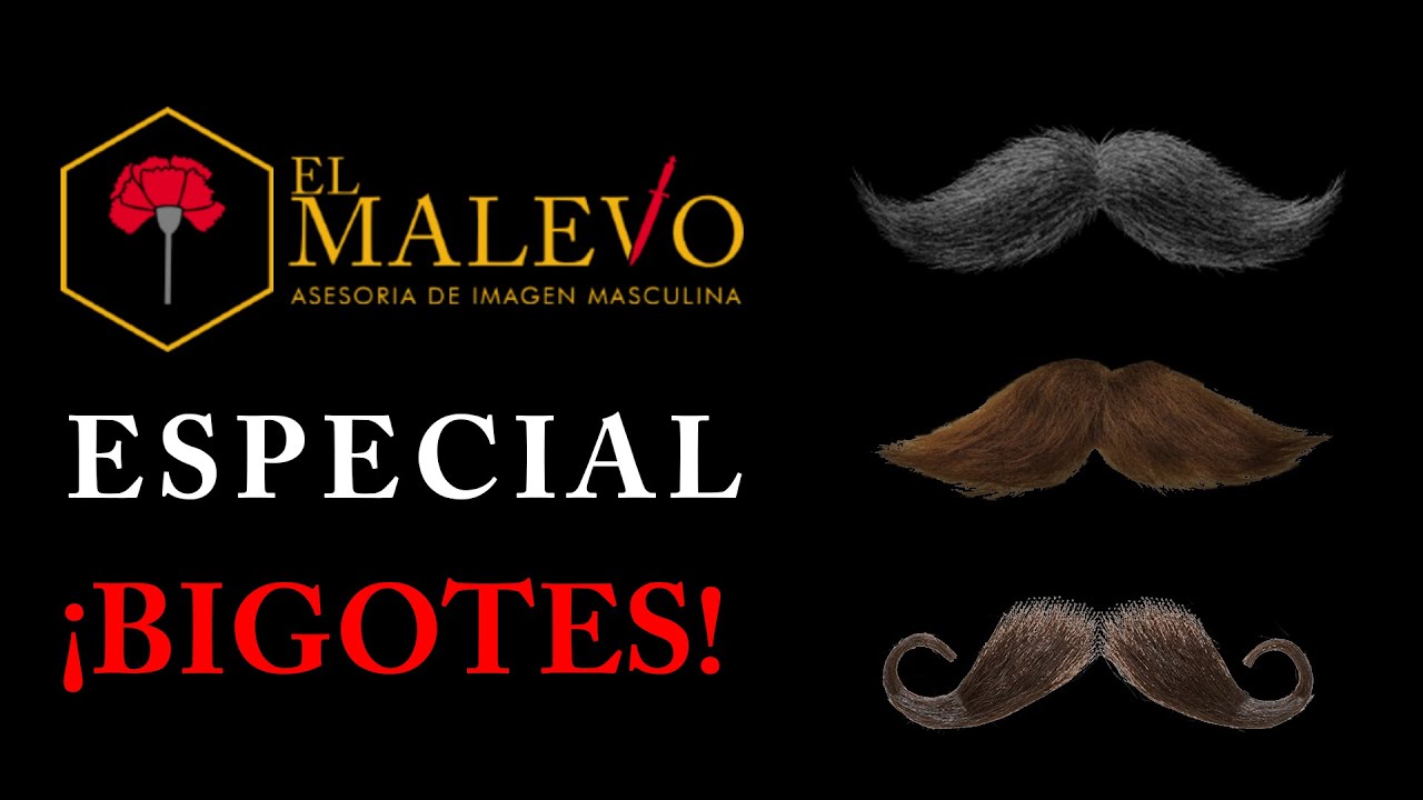 ¡Bigotes!-Especial estilos