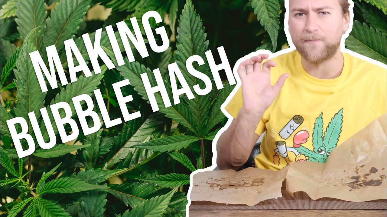 Making Ice O Lator Hash or Bubble Hash!