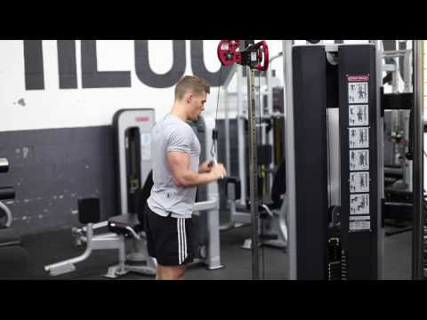 Triceps Pushdown - V-Bar Attachment | myworkouts.io