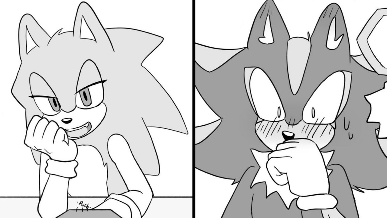 The Misunderstanding Part 2 | Sonic Comic Dub | Sonadow 