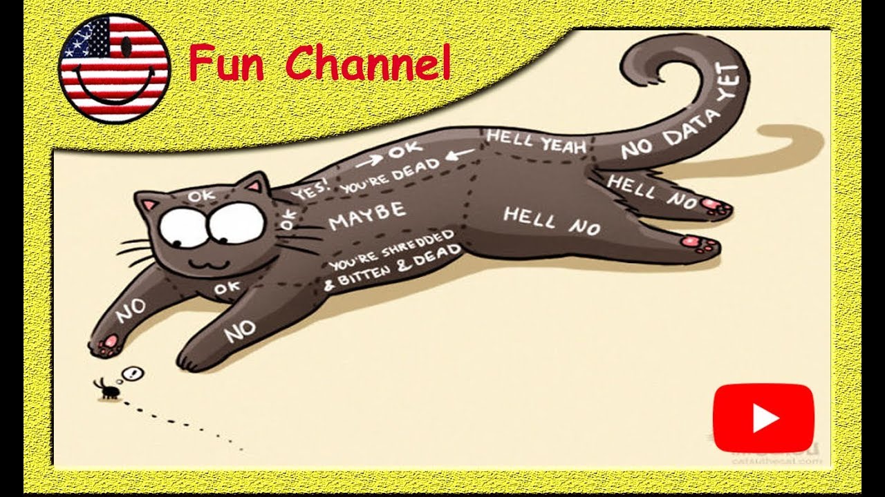 15+ Comics That Purrfectly Capture Life With Cats