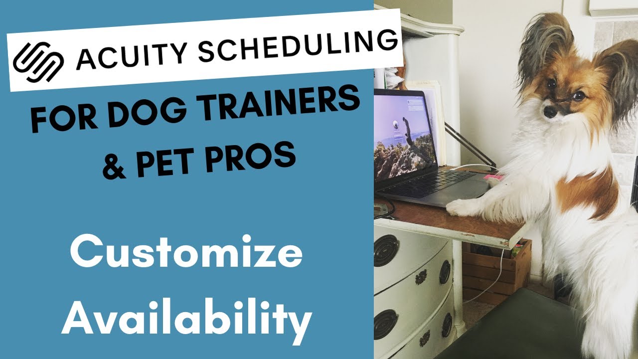 Set Your Availability in Acuity Scheduling to Optimize Your Calendar - for Dog Trainers