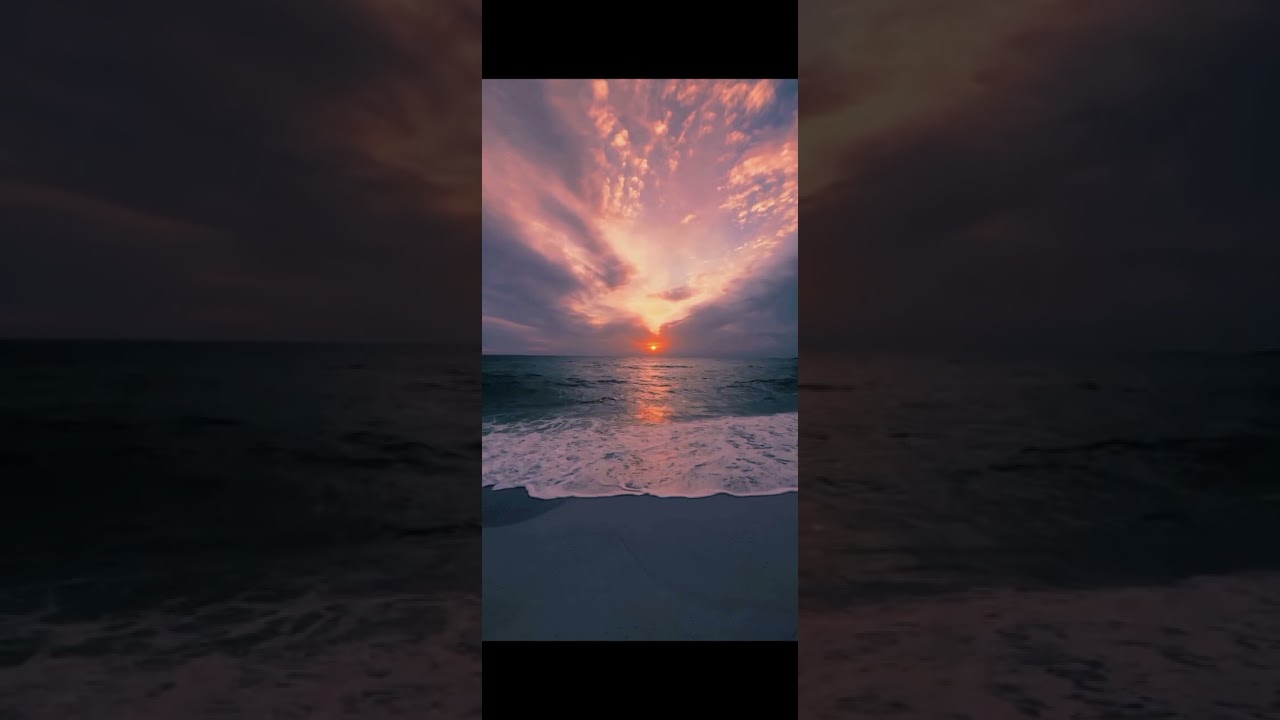 Edgetopos - Mi Wu male 