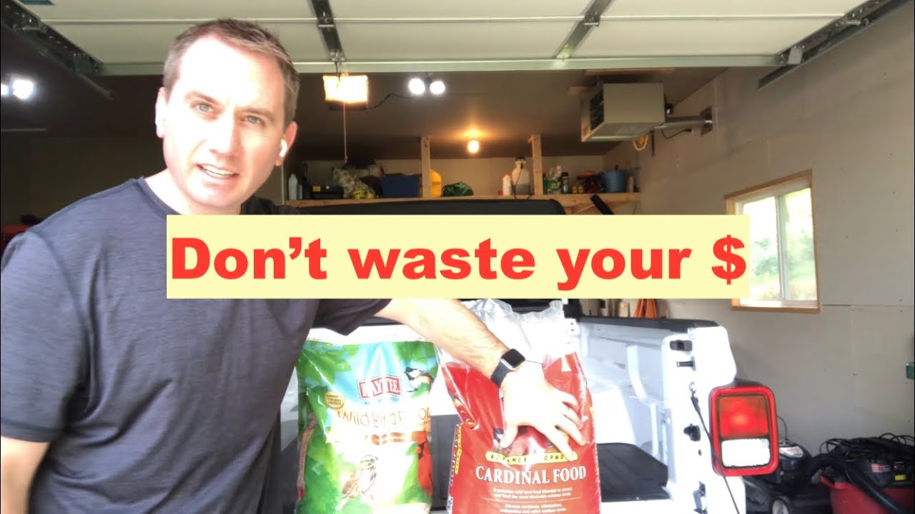Better bird seed!  How to recognize good bird seed and not waste money.