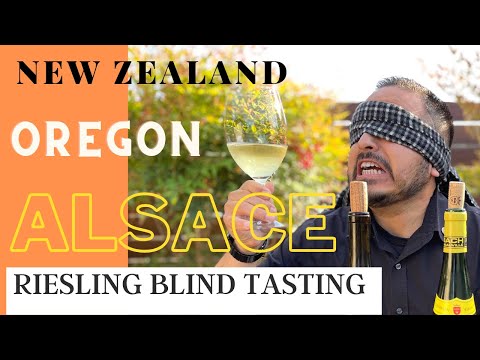RIESLING Blind Tasting! Trimbach, Alsace | Brooks, Oregon | Fromm, New Zealand