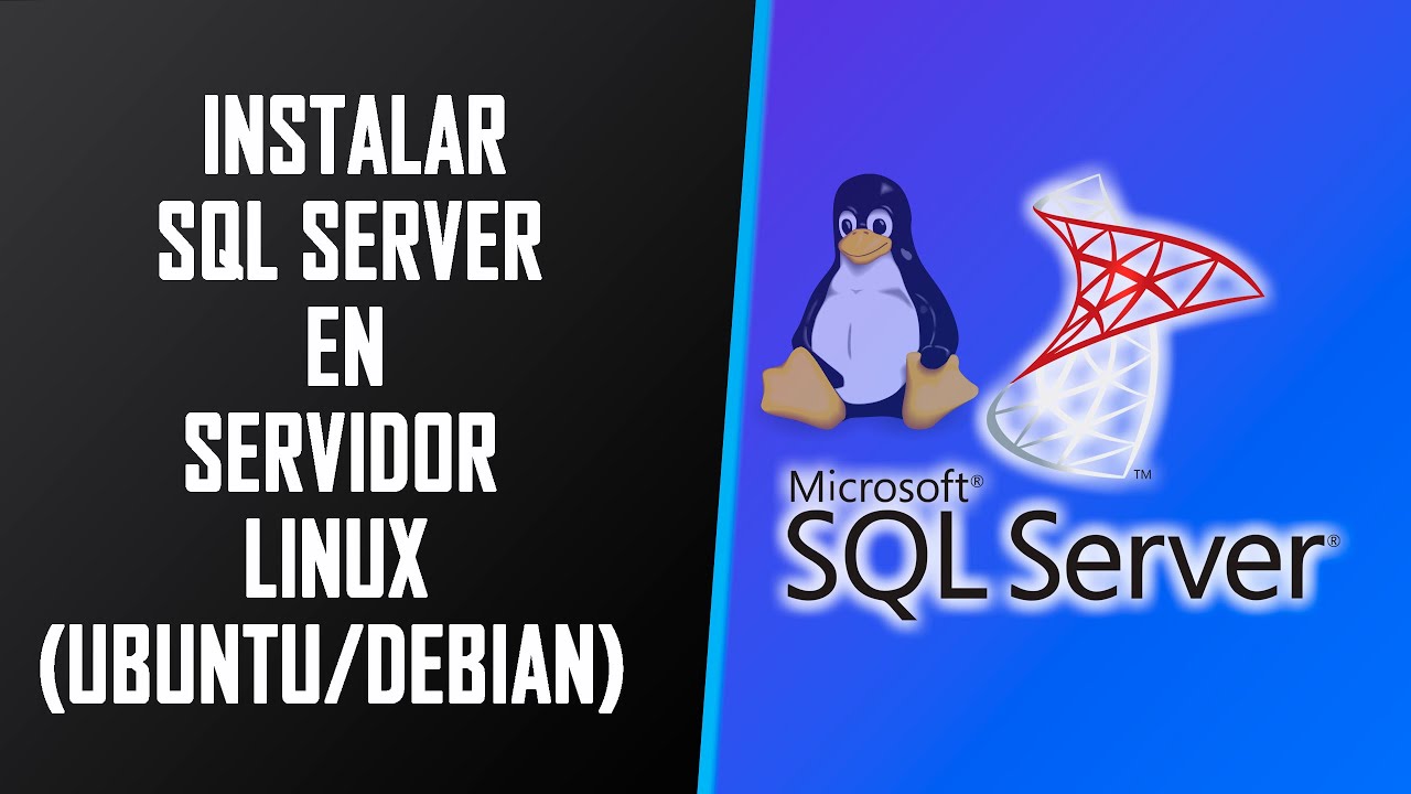 Aprende a Instalar SQL Server Express en tu servidor Linux - 💻N1G1 ...