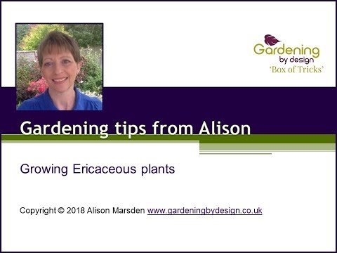 Ericaceous plants