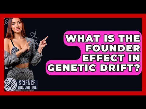 What Is The Founder Effect In Genetic Drift? - Science Through Time