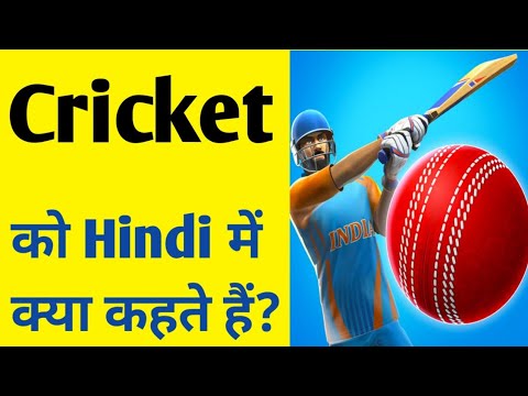 Hindi meaning of cricket meaning in hindi@sanreetienglishacademy