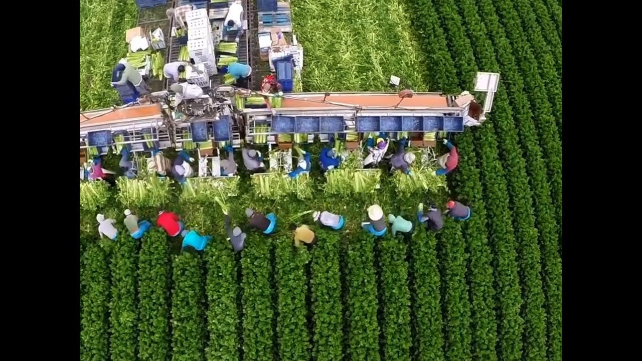 Central Coast Spotlight: Farm workers