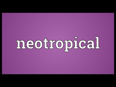 Neotropical Meaning