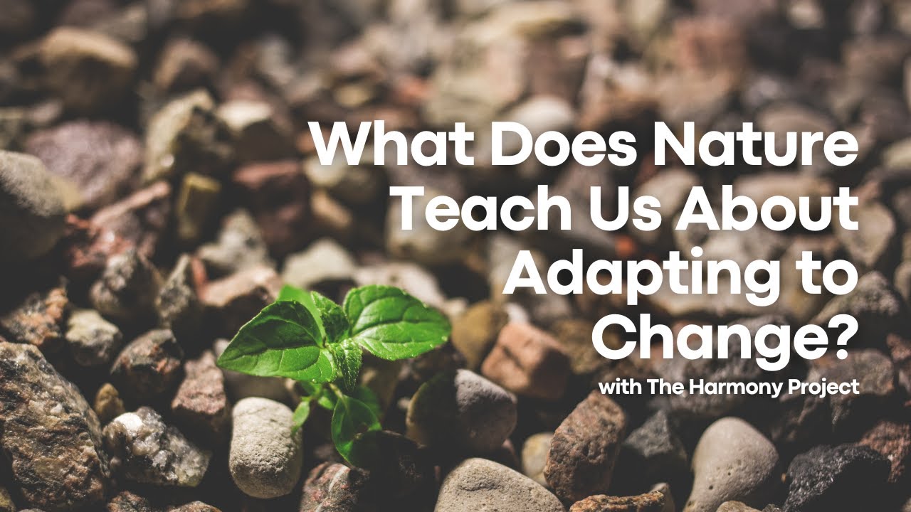 What Does Nature Teach Us About Adapting to Change? | The Harmony Project | Pure Land Foundation