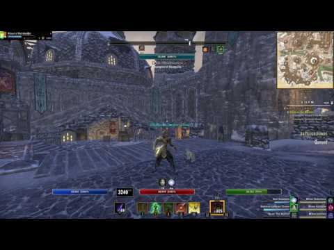 Ability Bug/ Sprint Bug — Elder Scrolls Online