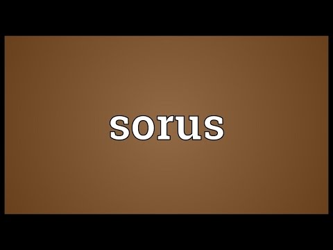 Sorus Meaning