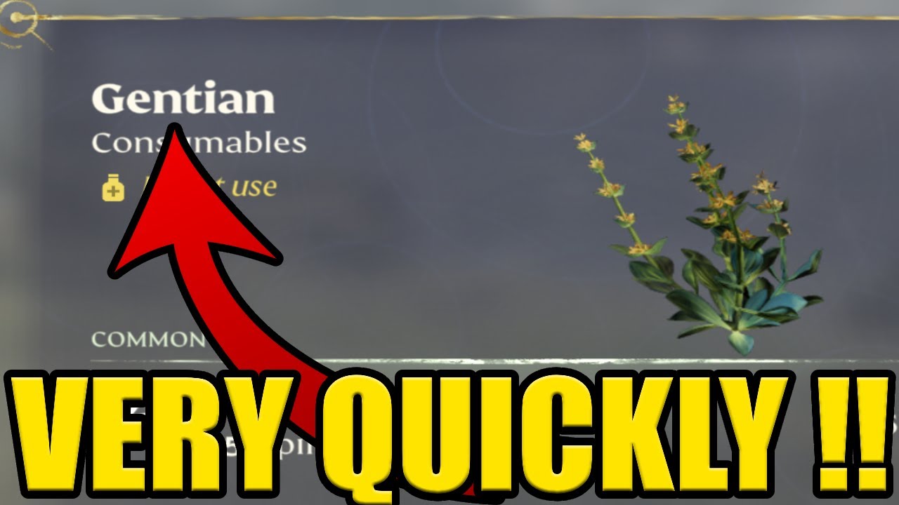 ENSHROUDED GENTIAN LOCATION