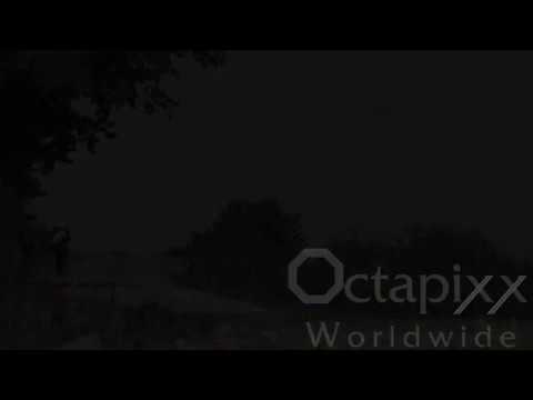 LionHeart FilmWorks/Octapixx Worldwide Distribution (2011)