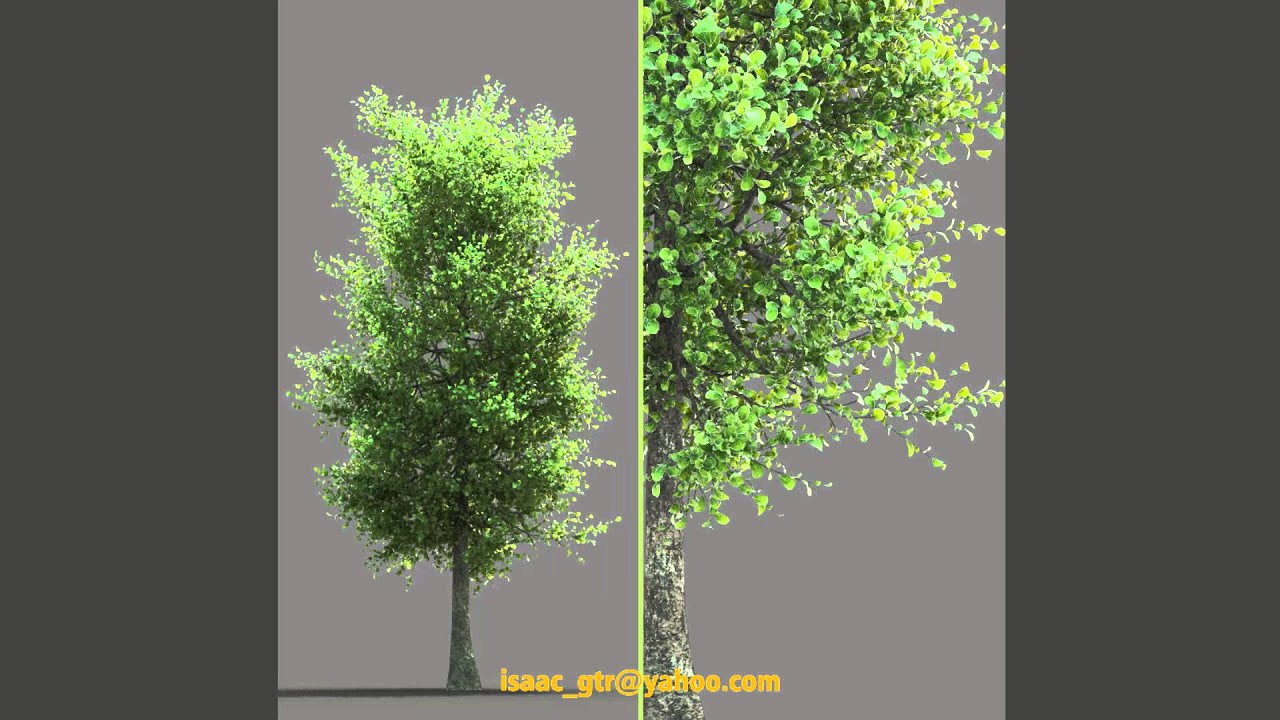 maxscript tree generator