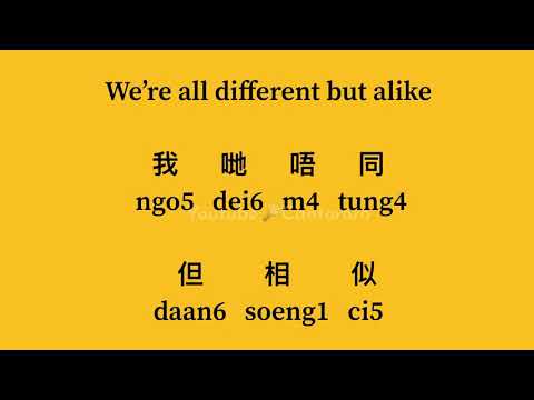 How to Say “ we’re all different but alike” in Cantonese (with detailed explanation)