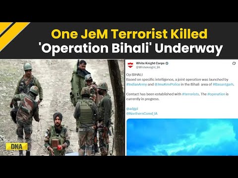 Jammu Kashmir Encounter: One JeM Terrorist Killed In J&K's Udhampur, 'Operation Bihali' Underway