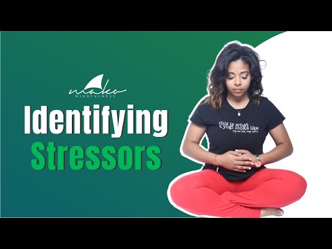 Identifying Stressors & Managing Stress