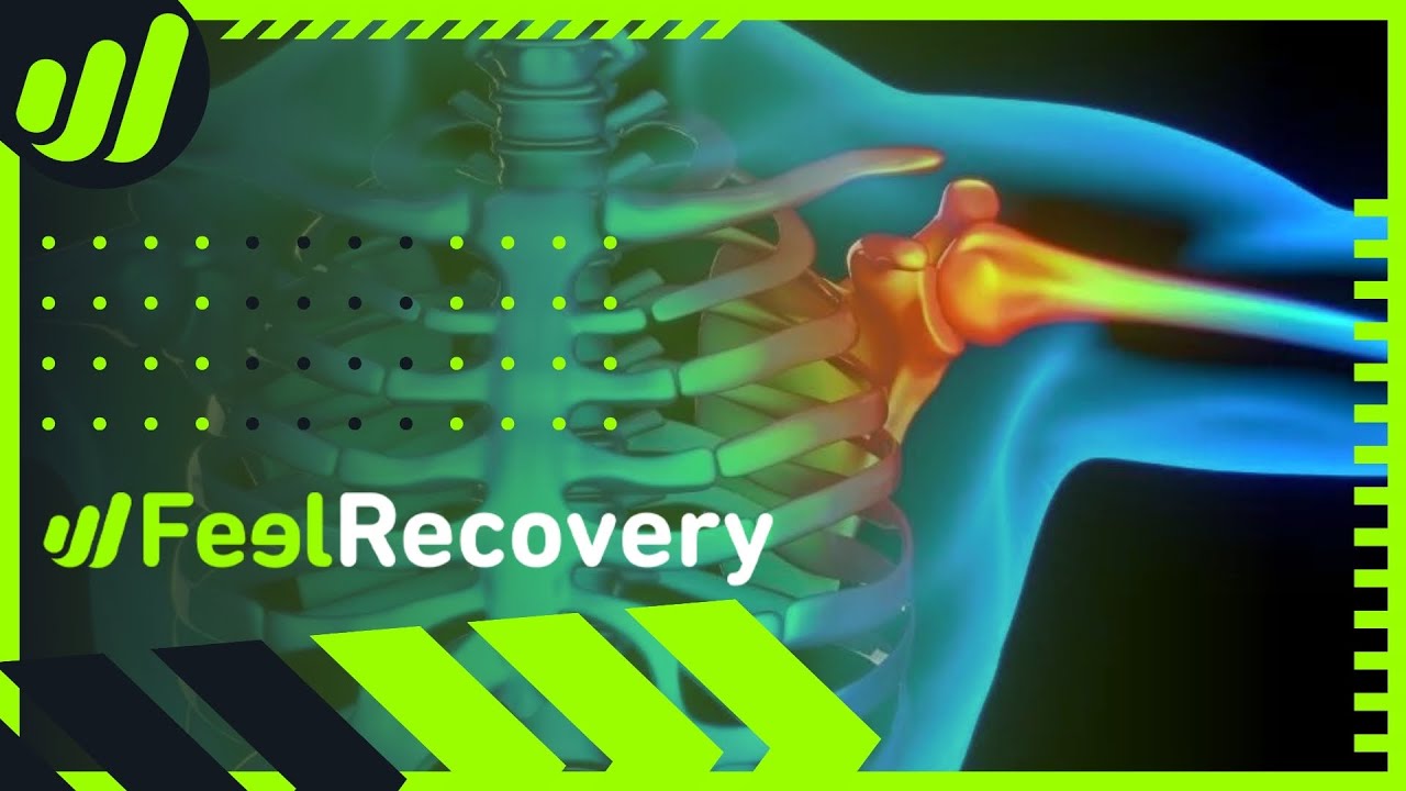 🟢 ANATOMY OF THE SHOULDER - Everything About the Human Body