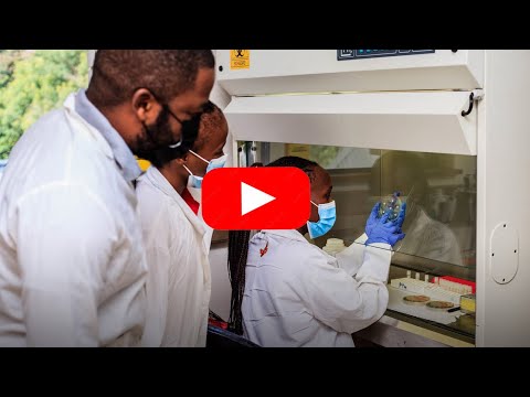 Accelerating Measles and Rubella Testing in 120 Countries (60 sec)