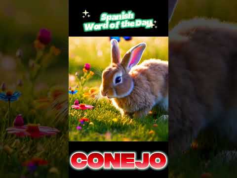 Spanish Word of the Day - Conejo - Rabbit