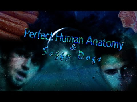 Steam Community :: Video :: Perfect Human Anatomy & Soggy Dogs