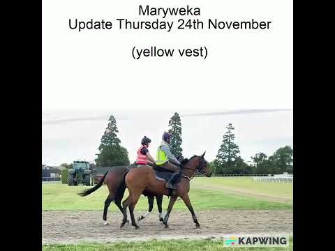 Maryweka Working Nicely at Terri Rae’s Stable – November 2022 | THE ...