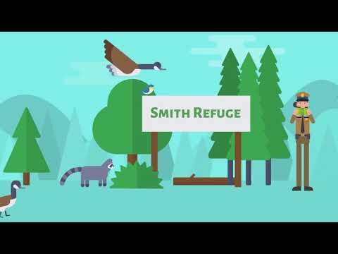 Endangered Species Act Overview