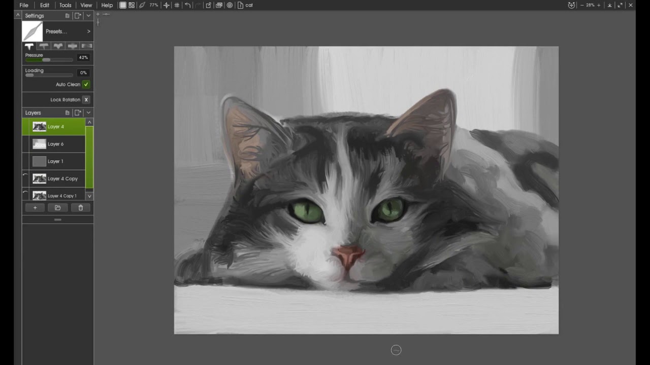 TimeLapse Cat using ArtRage Reverse