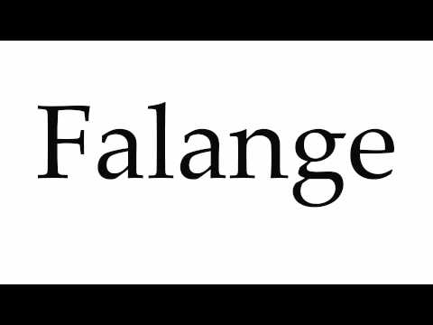 How to Pronounce Falange