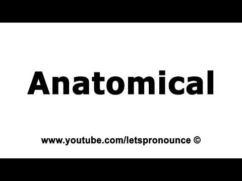 How to Pronounce Anatomical