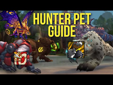 Best Hunter Pets Guide (Patch 11.1) | Max DPS Pet, Utility, Raid, Mythic+ | Every Pet You Need!