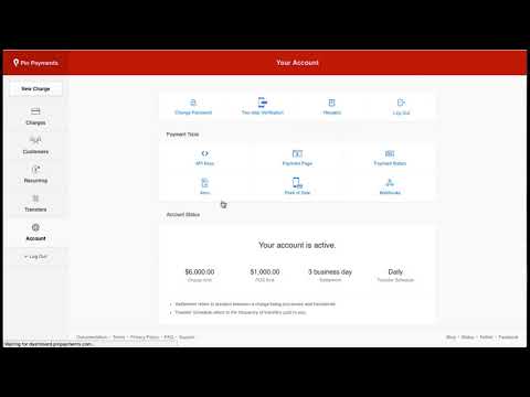 Pin Payments Dashboard Tour