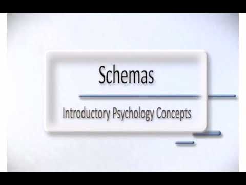 Schemas, what are Schemas in psychology. Introductory psychology concepts