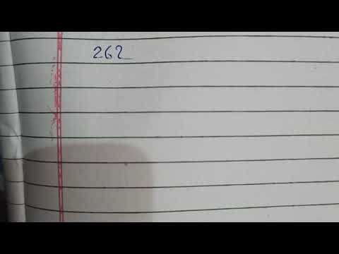 prime factors of 262