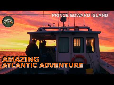 HUGE 850lb Bluefin Tuna! & an Amazing Waterfowl Hunt on Prince Edward Island | Canada in the Rough