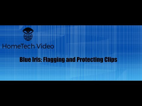 Blue Iris - Flagging and Protecting Clips