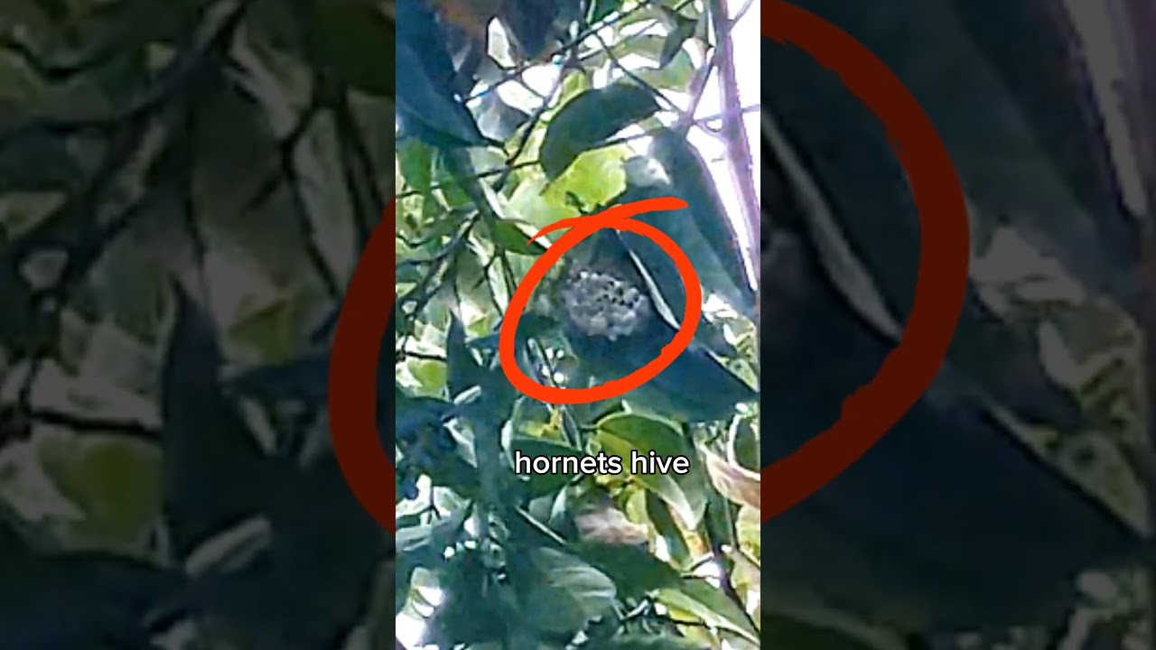 #lineman #powerlineman #electricalequipment #electrical #linemanlife